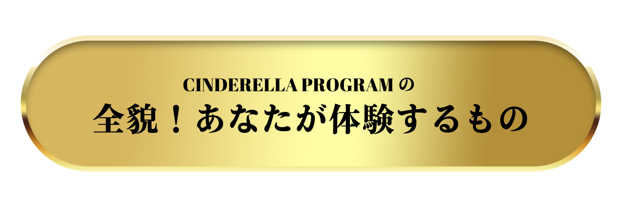 Cinderella program - [BHCL]人生をありのままにデザインしよう。